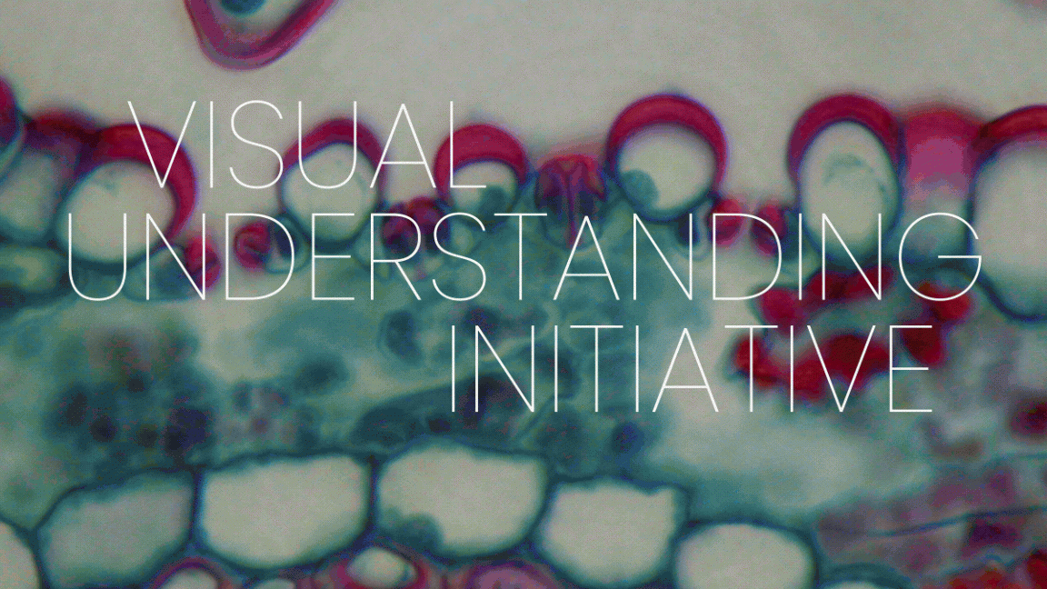 Visual Understanding Initiative | The Power Institute